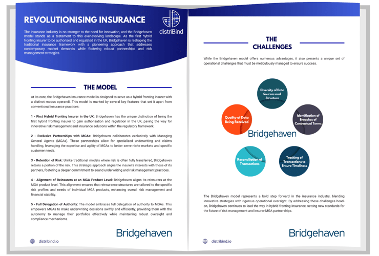 Revolutionising Insurance Bridgehaven | distriBind